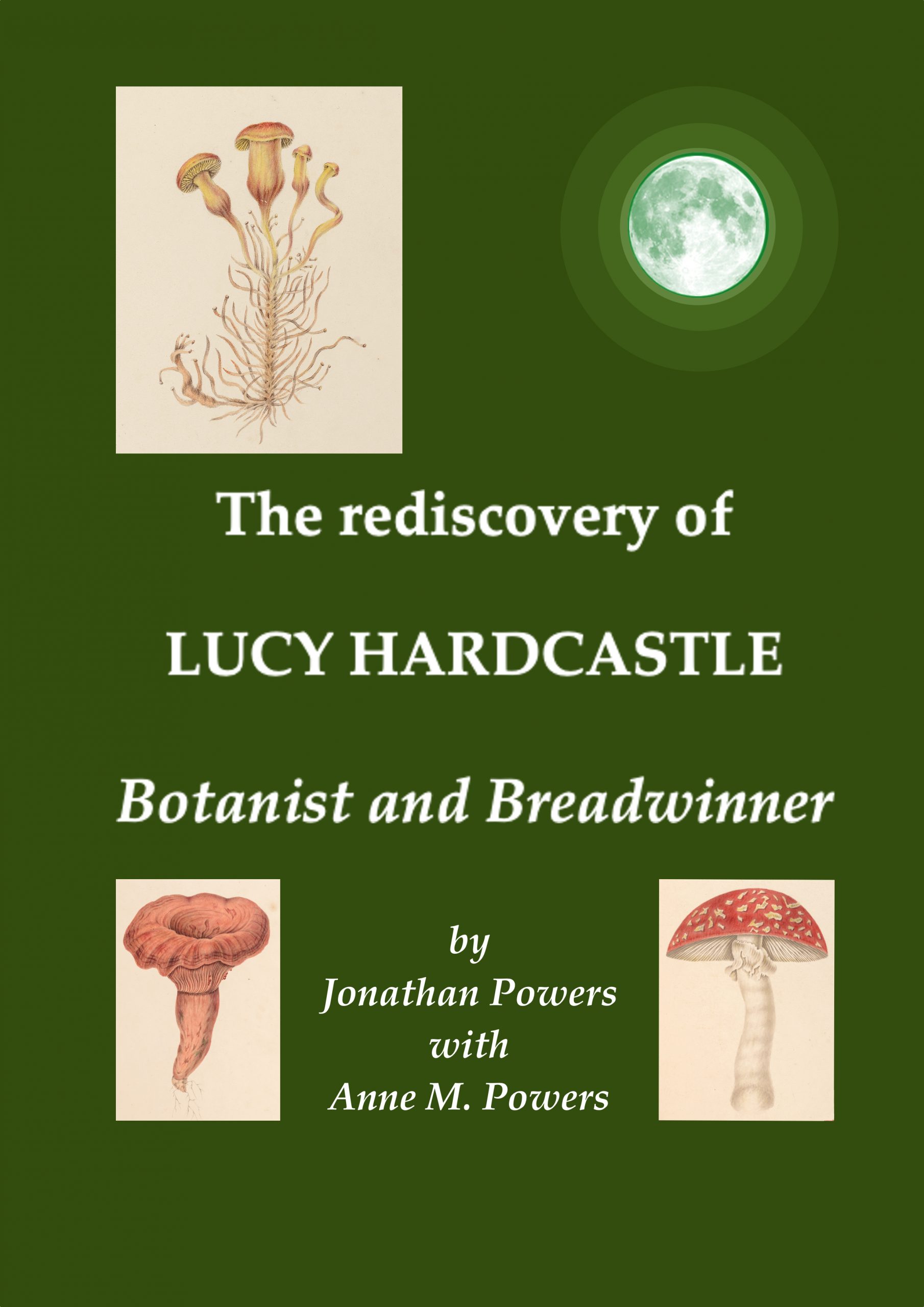 The Rediscovery of Lucy Hardcastle - Quandary Books